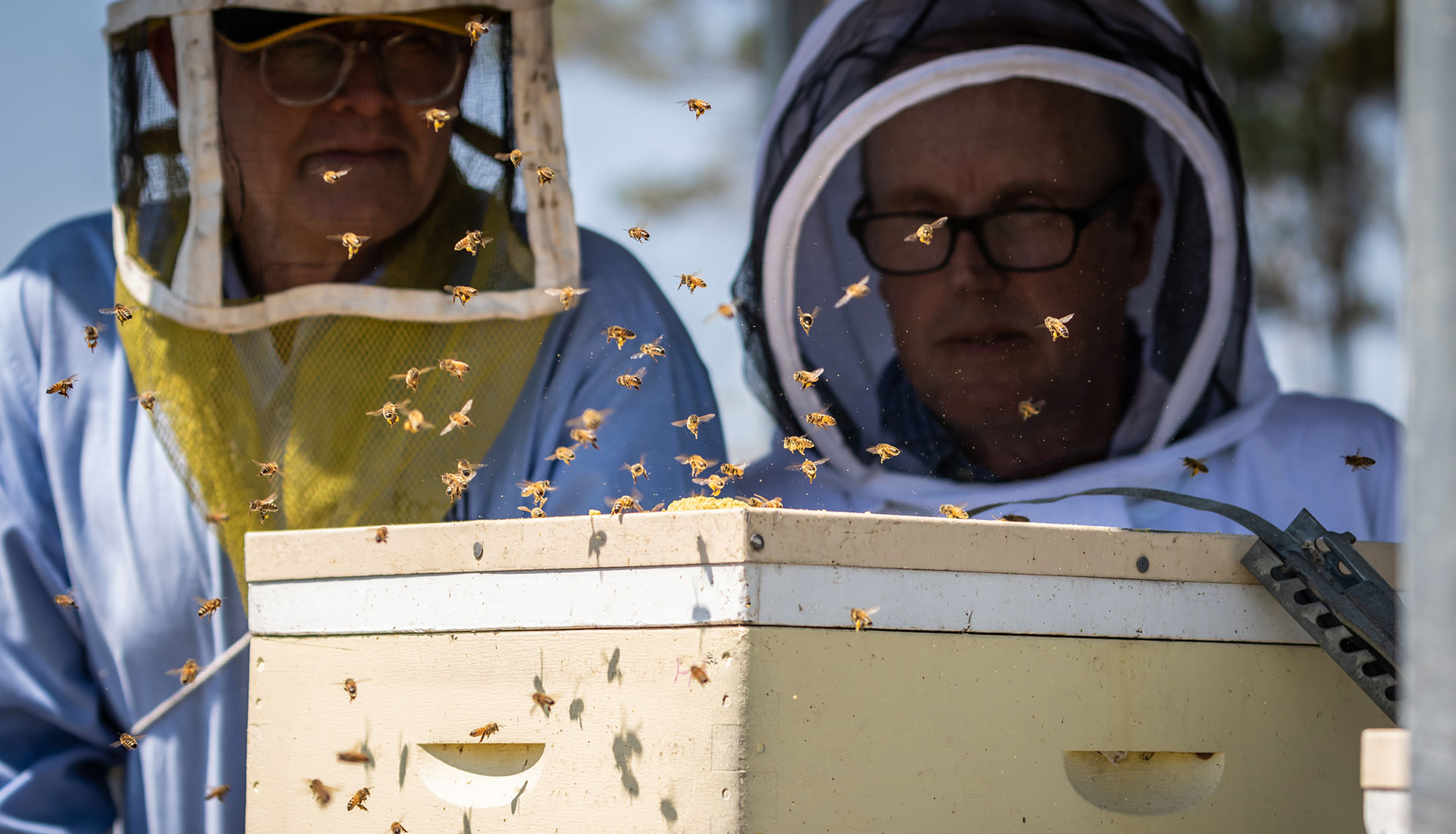 Tocal Events – Tocal Homestead