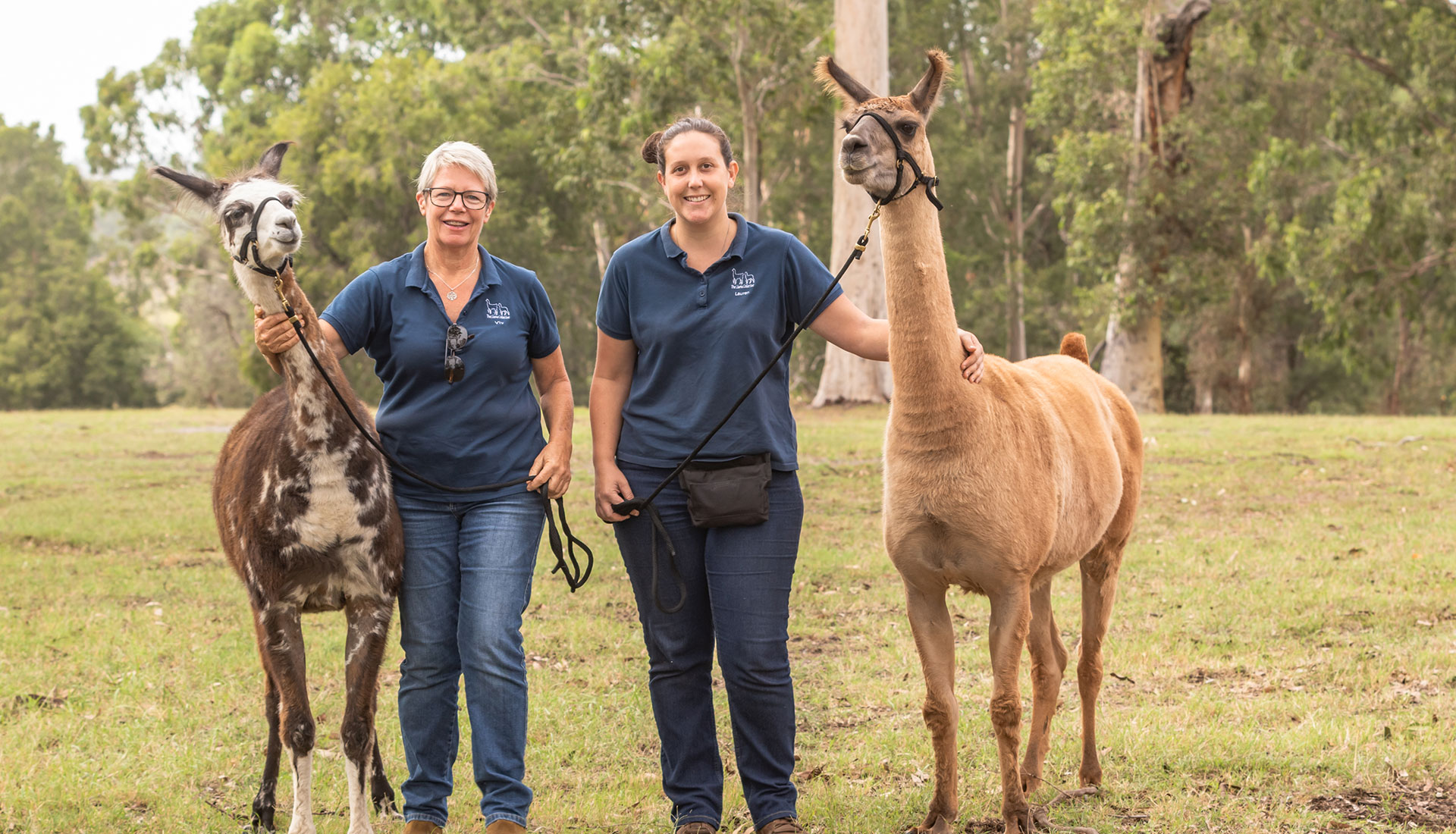 Tocal Events – Tocal Homestead