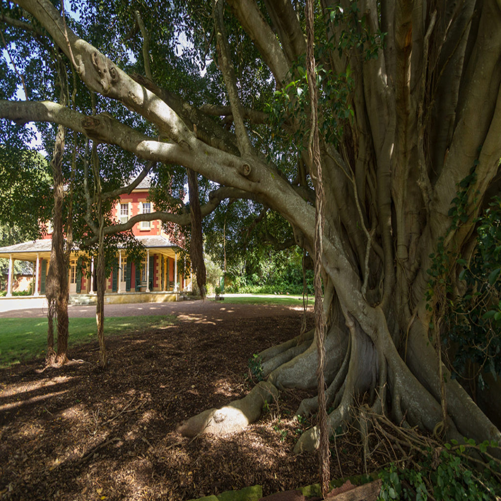 Tocal Homestead – Wedding Venue, Maitland and Hunter Valley